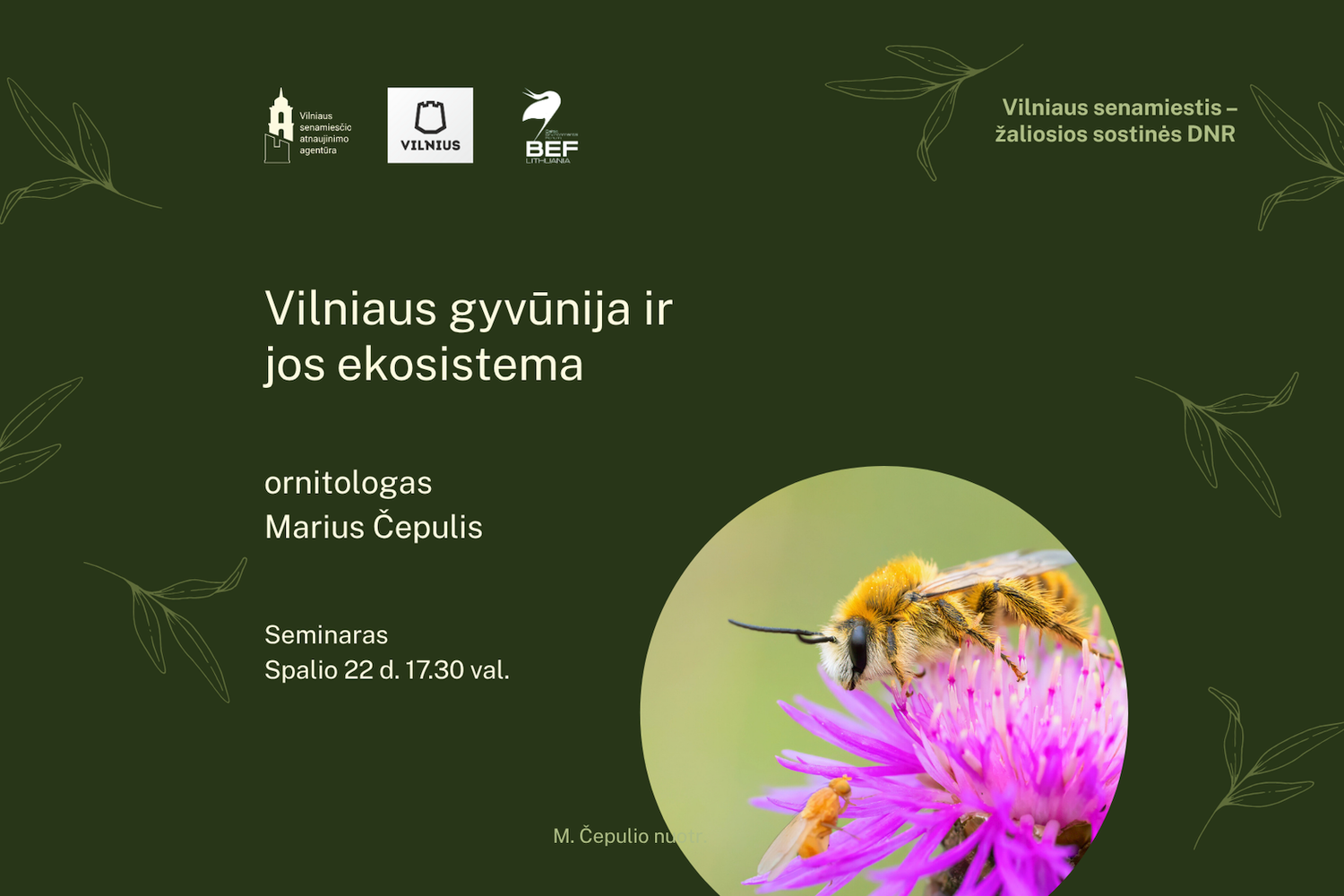 Ornitologas Marius Čepulis apie Vilniaus gyvūniją ir jos ekosistemą ...